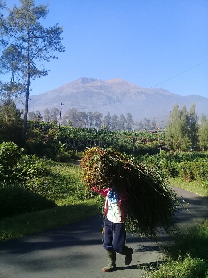 Merbabu Mountain Beautiful Natural Stock Photo - Image of sunlight ...