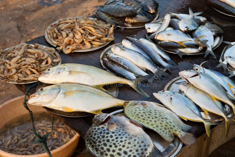 Mercado De Peixe Em Kerala, Índia Foto de Stock - Imagem de formato ...