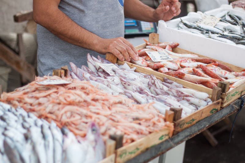 Mercado de pescados foto de archivo. Imagen de sano, calamar - 35231554