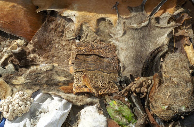 Mercado Do Shaman, Bamako, Mali Foto de Stock - Imagem de animal ...
