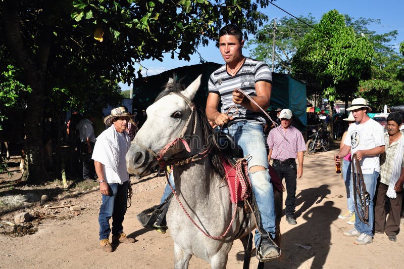 Timana Fotos de stock - Fotos libres de regalías de Dreamstime