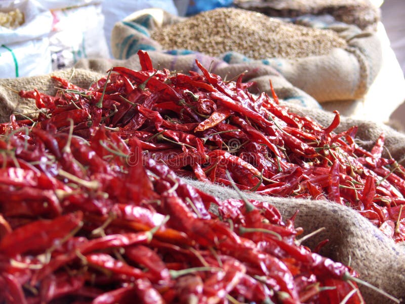 Mercado indio imagen de archivo. Imagen de sano, pimienta - 4026129