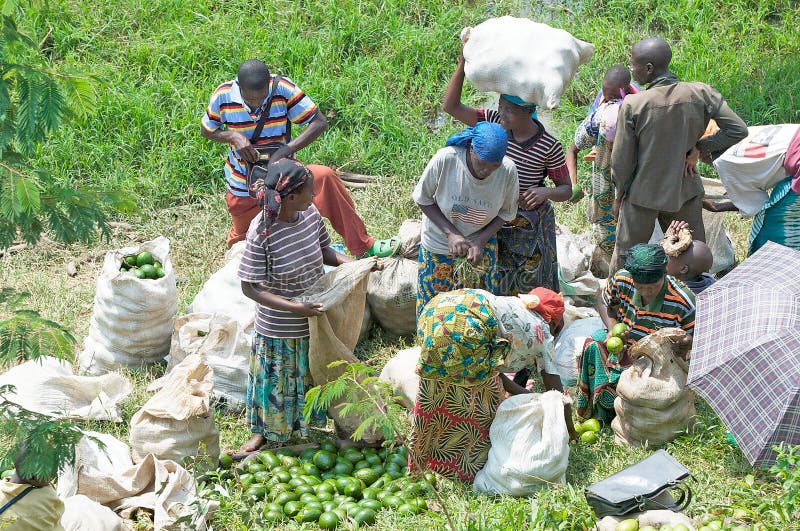 Mercado rural em Rwanda fotografia editorial. Imagem de turismo - 19513392