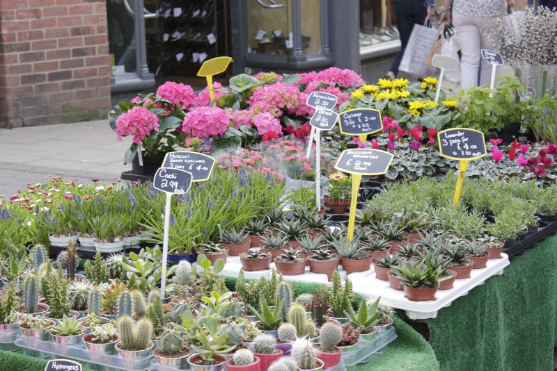 Mercado Tradicional De La Flor En York Foto editorial - Imagen de ...