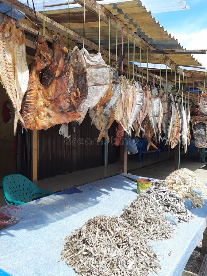 Mercado Tradicional Que Vende Peixe Salgado Ou Peixe Seco Imagem de Stock - Imagem de peixes ...
