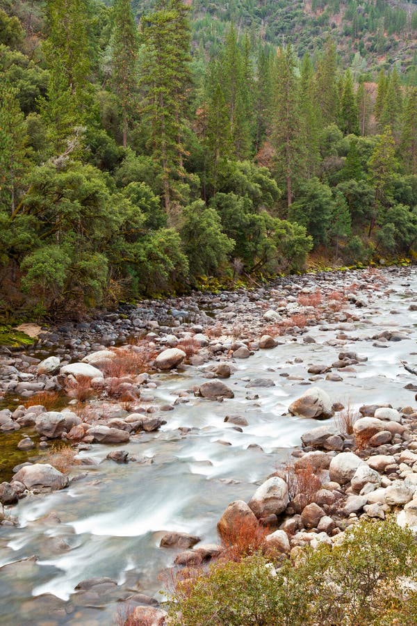 Merced River stock image. Image of bush, stone, hill - 12456979