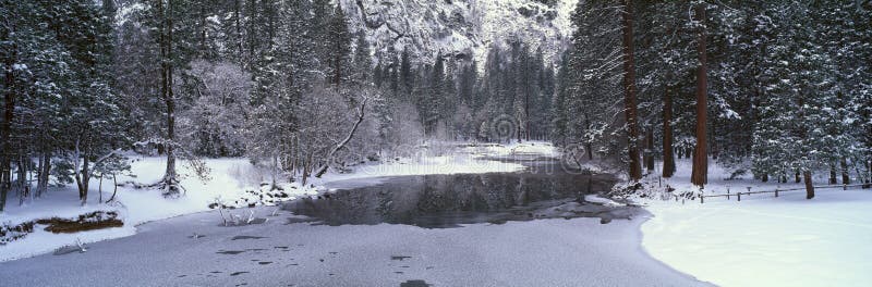 Snowy Merced River in Yosemite Stock Photo - Image of running, forests ...