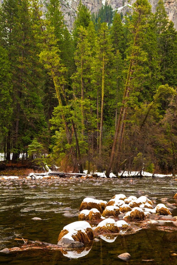 Merced River Winter Scene stock image. Image of national - 38566185