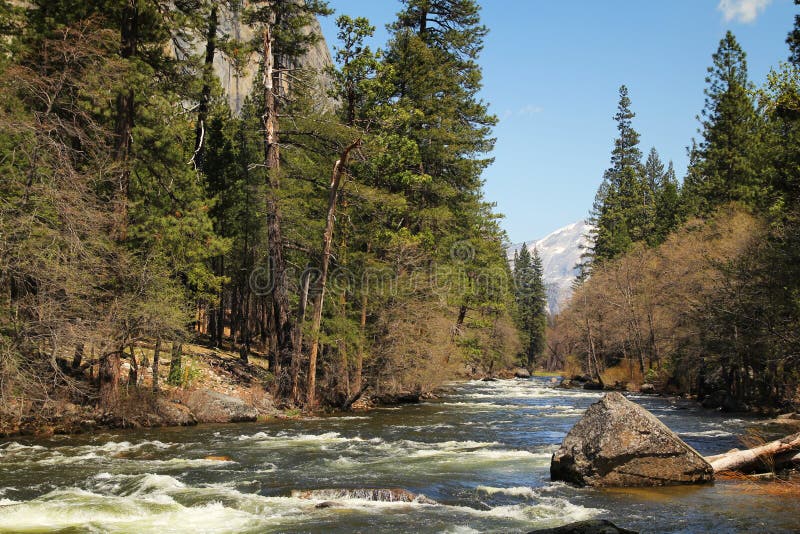 Merced river stock image. Image of cliffs, yosemite, pine - 32349989