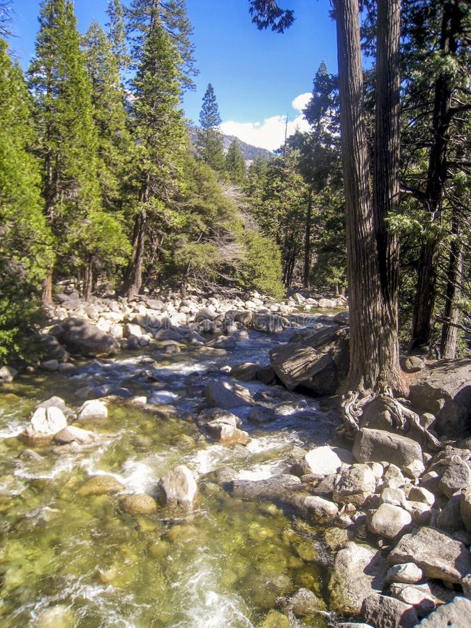 Merced River in Yosemite National Park Stock Image - Image of america ...