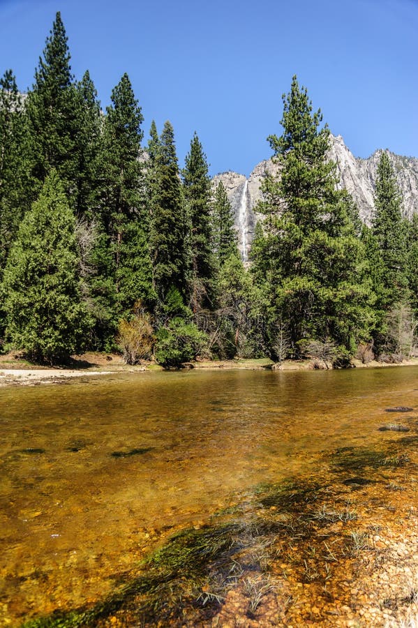 Merced River in Yosemite Valley Stock Image - Image of natural, merced ...