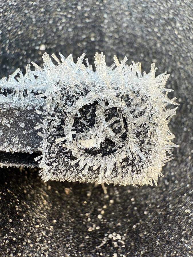 Mercedes Stamp Covered in Frost Stock Image - Image of plant, tree ...