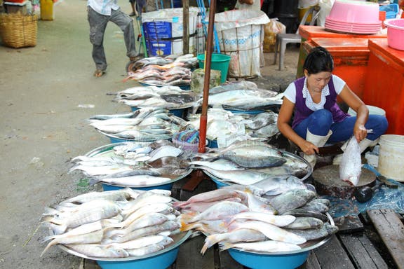 The Merchant Preparing Many Kind of Fish Editorial Stock Photo - Image ...