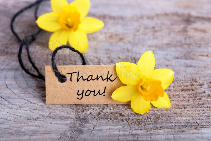 12,375 Photos de Merci Nature - Photos de stock gratuites et libres de ...