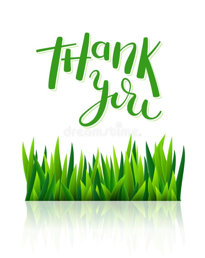 Merci Avec Des Fleurs De Tulipe Illustration de Vecteur - Illustration ...