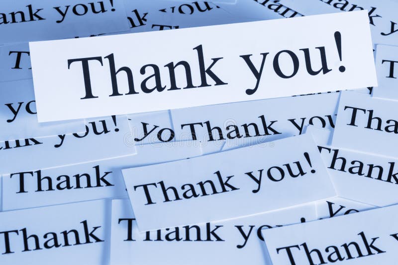 Dites Vous Remercient Que Le Concept Indiquent Par La Nature Timide De ...