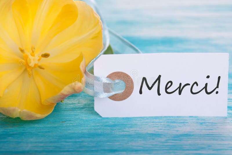 Danke Tag stockfoto. Bild von bunt, grün, planke, blumen - 37272580