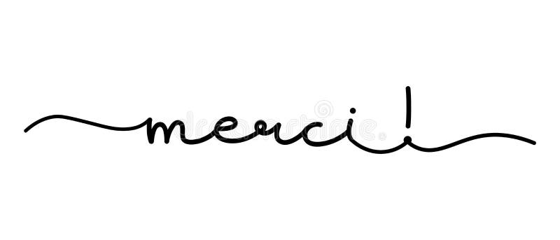Merci Text Vector Brush Calligraphy Banner. Modern Typography Script ...