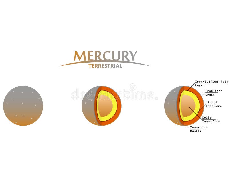 Mercury Layers Clipart with Infographics Terrestrial Planet Stock ...