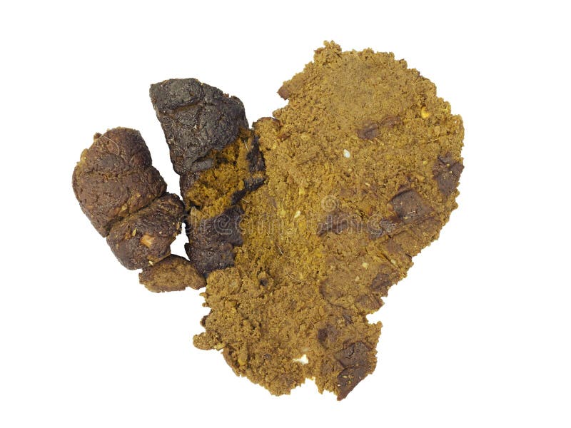 Merda de cão foto de stock. Imagem de cocô, excrementos - 72947910