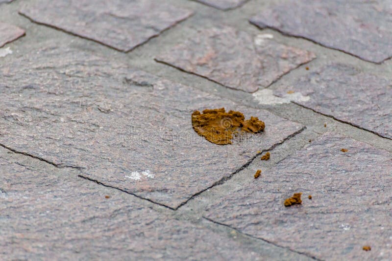 Merda Fotos De Stock - Baixe 4,107 Fotos Royalty Free