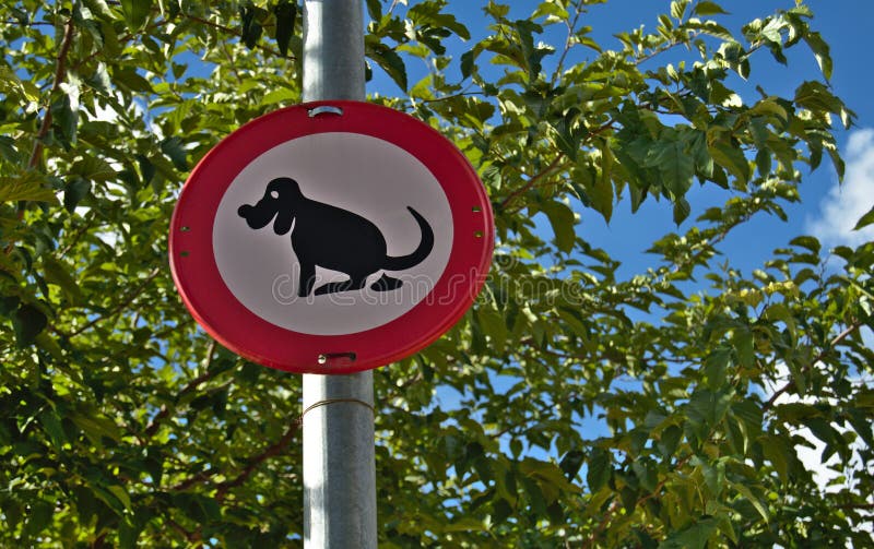 970 Merda Di Cane Foto stock - Foto stock gratuite e royalty free da ...