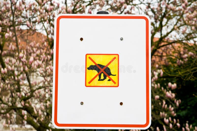 970 Merda Di Cane Foto stock - Foto stock gratuite e royalty free da ...