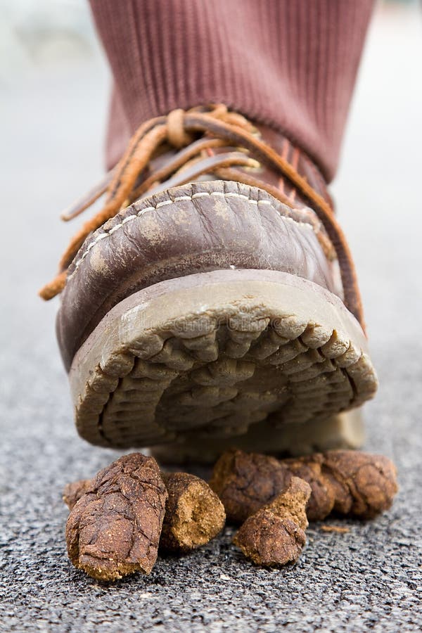 Merde de chien image stock. Image du opération, environnement - 68616635