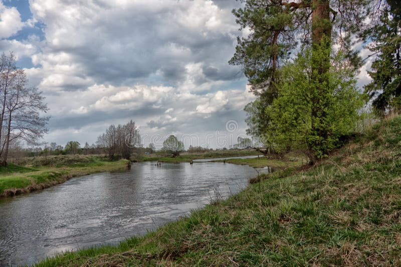 Merge of rivulets stock image. Image of pine, grass, clouds - 47565941