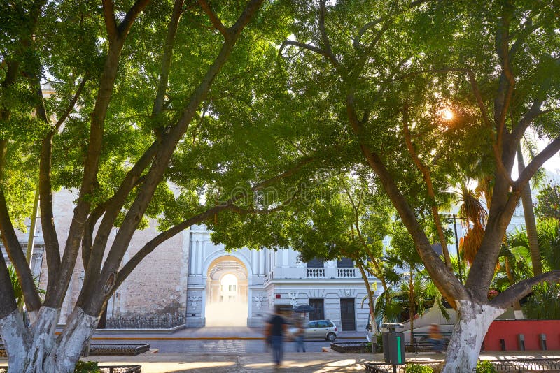 Merida City Park of Yucatan Mexico Stock Photo - Image of america ...