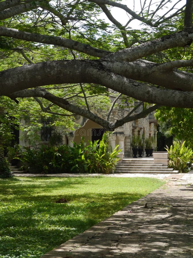 Merida Mexico Colonial House Architecture Stock Photo - Image of mexico ...