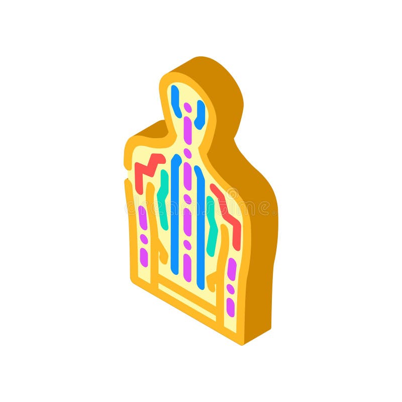 Meridian Pathways Acupuncture Isometric Icon Vector Illustration Stock ...