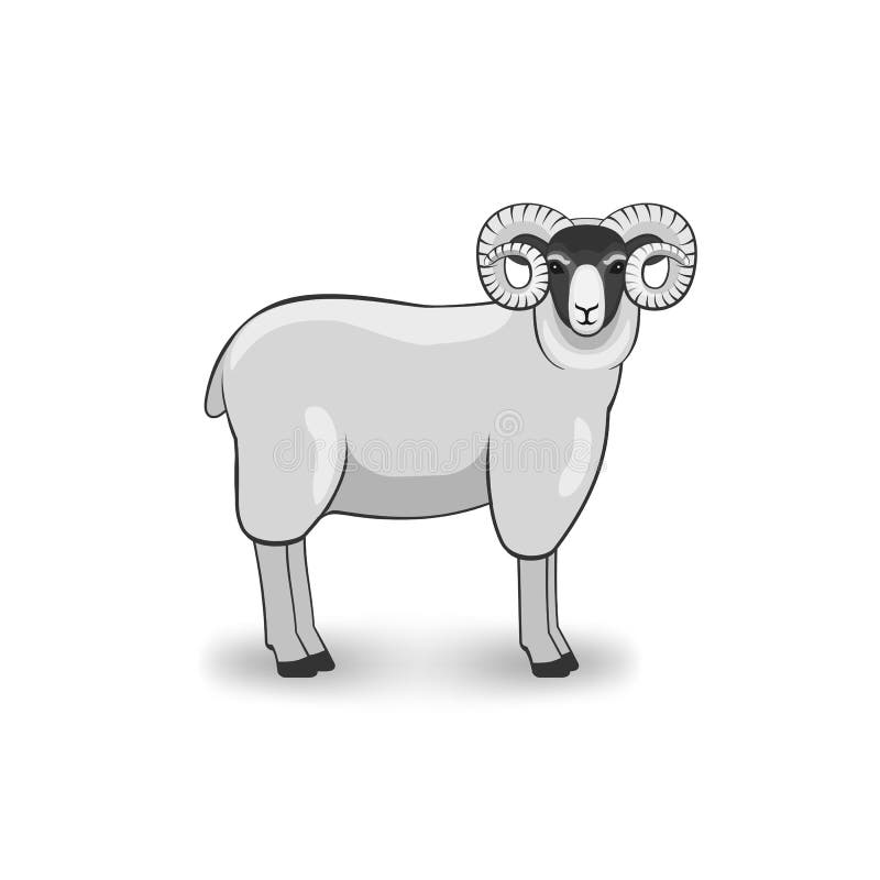 Merino Ram on White Background Stock Vector - Illustration of farm ...