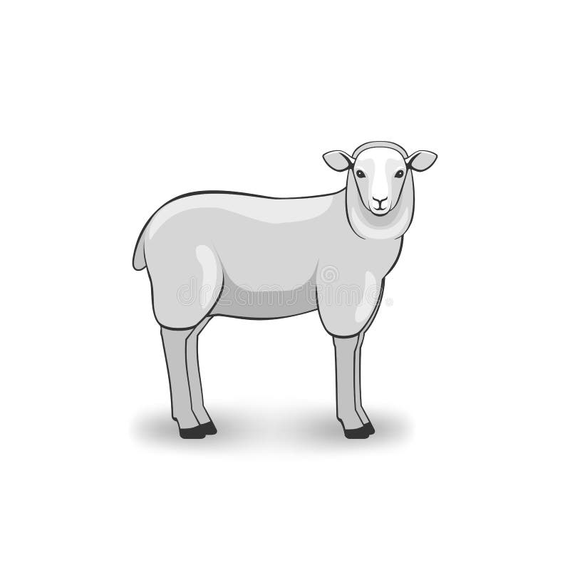 Merino Head Stock Illustrations – 214 Merino Head Stock Illustrations ...