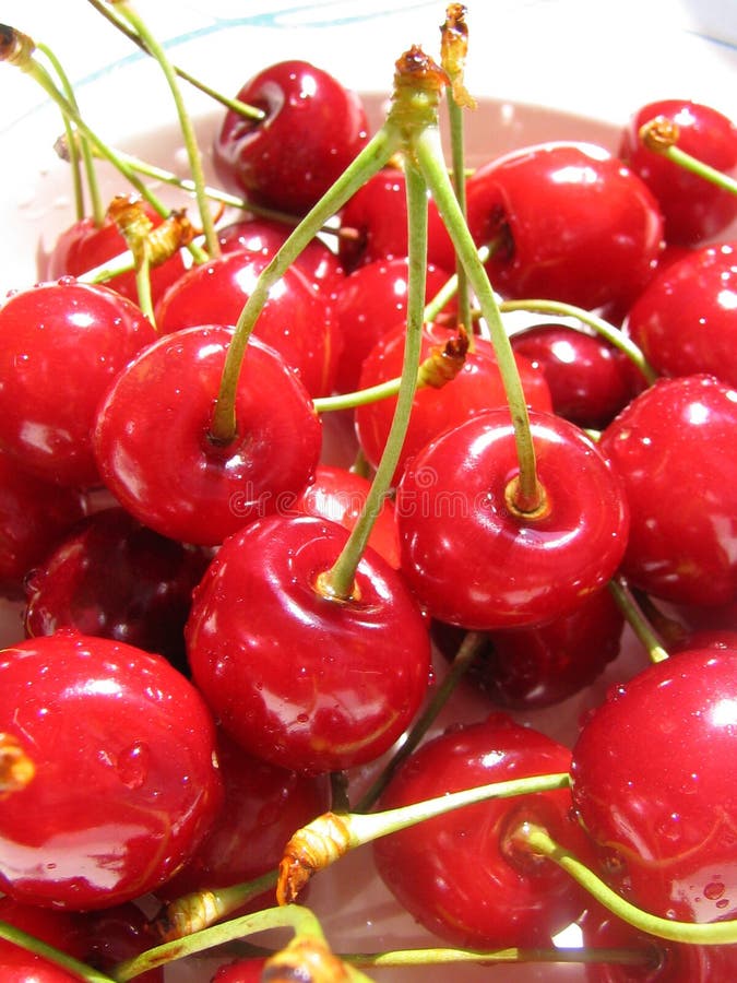 Merise image stock. Image du baie, nature, dessert, couleur - 19783813