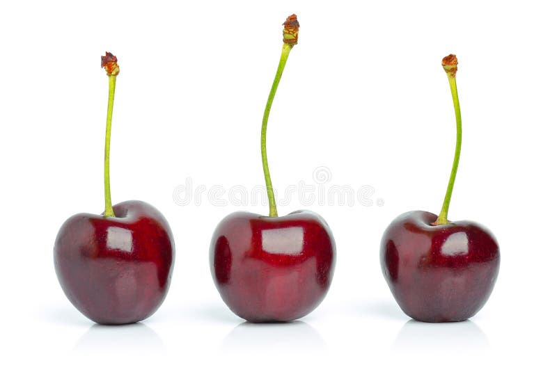 Merise photo stock. Image du nourriture, tentation, jardin - 19770880