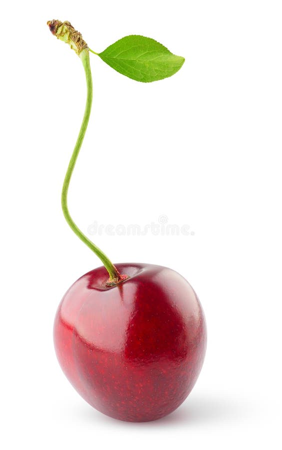 Fruits de merise image stock. Image du cerise, savoureux - 25401951