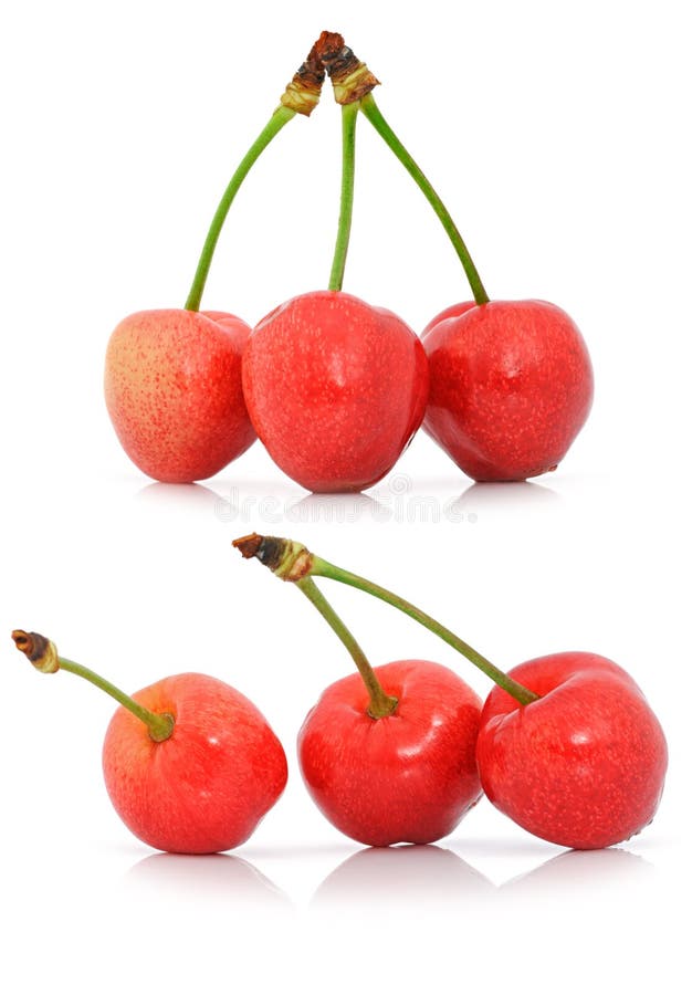 Merise photo stock. Image du été, nature, rouge, jardinage - 19770880