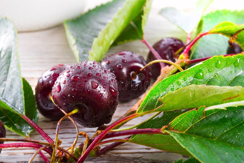 Merise image stock. Image du lumineux, baie, santé, groupe - 32228851