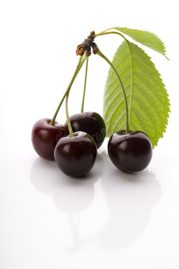 Merise - fruit doux image stock. Image du détail, rond - 6291749