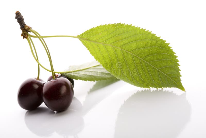 Merise - fruit doux image stock. Image du détail, rond - 6291749