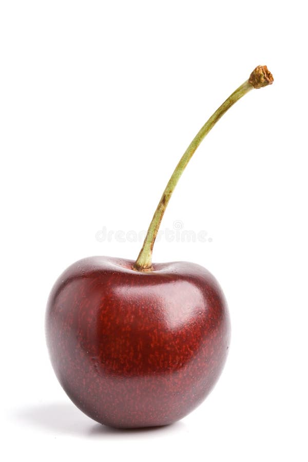 Merise d'isolement photo stock. Image du doux, baie, simple - 5541138