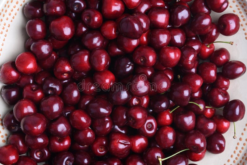Fruit de merise photo stock. Image du savoureux, cerise - 121662080