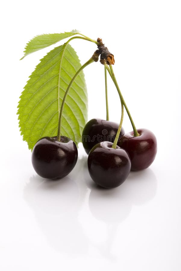 Merise - fruit doux image stock. Image du baie, cheminée - 6291703