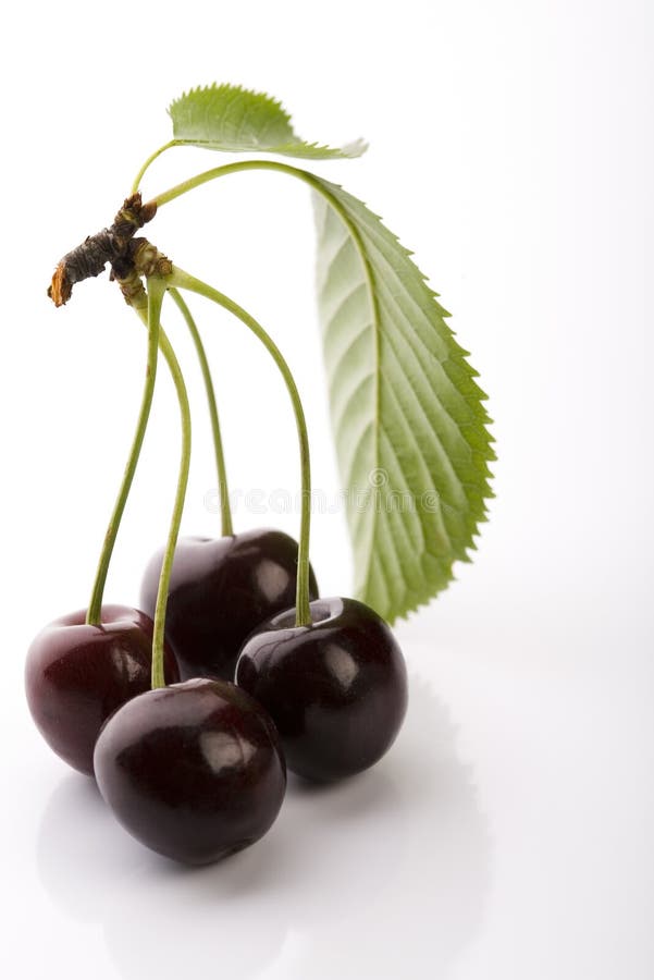 Merise - fruit doux image stock. Image du détail, rond - 6291749