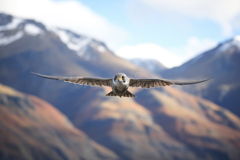 Merlin in Flight with a Mountain Backdrop Stock Illustration ...