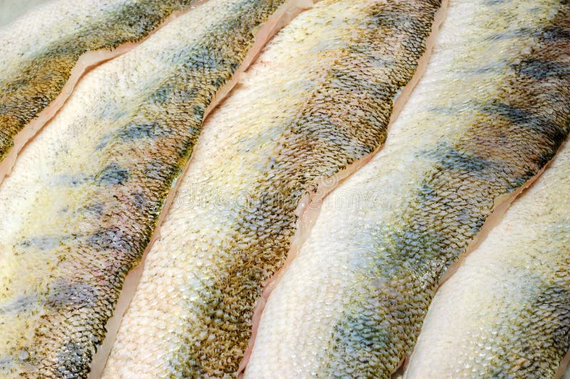 617 Merluccius Stock Photos - Free & Royalty-Free Stock Photos from ...