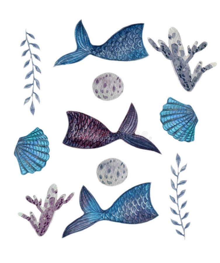 Mermaid Tails, Shells, Seaweed Set Stock Illustration - Illustration of ...