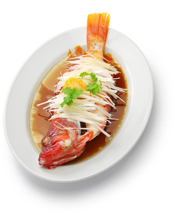 Mero de Blacktip aislado foto de archivo. Imagen de rojo - 105986840