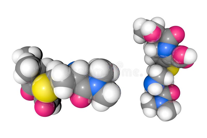 Meropenem, a Carbapenem-type Antibiotic. Space-filling Molecular Model ...